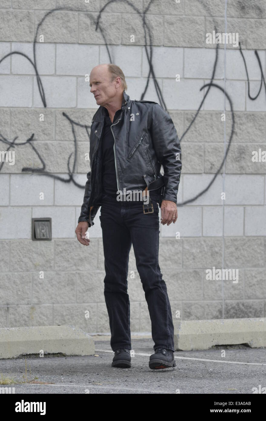 'Cymbeline' film set in Manhattan Featuring: Ed Harris Where: New York ...