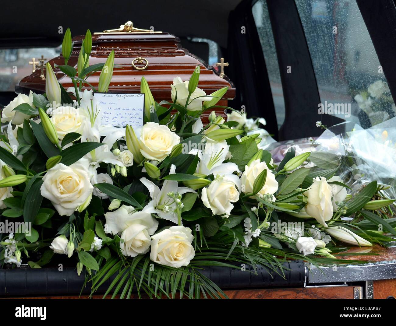 Susan Fitzgerald High Resolution Stock Photography and Images - Alamy