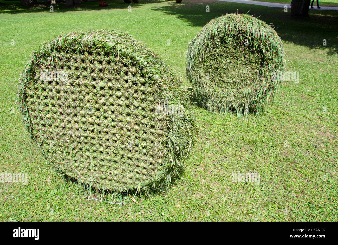 floristic grass objects wheel in summer manor park Stock Photo - Alamy
