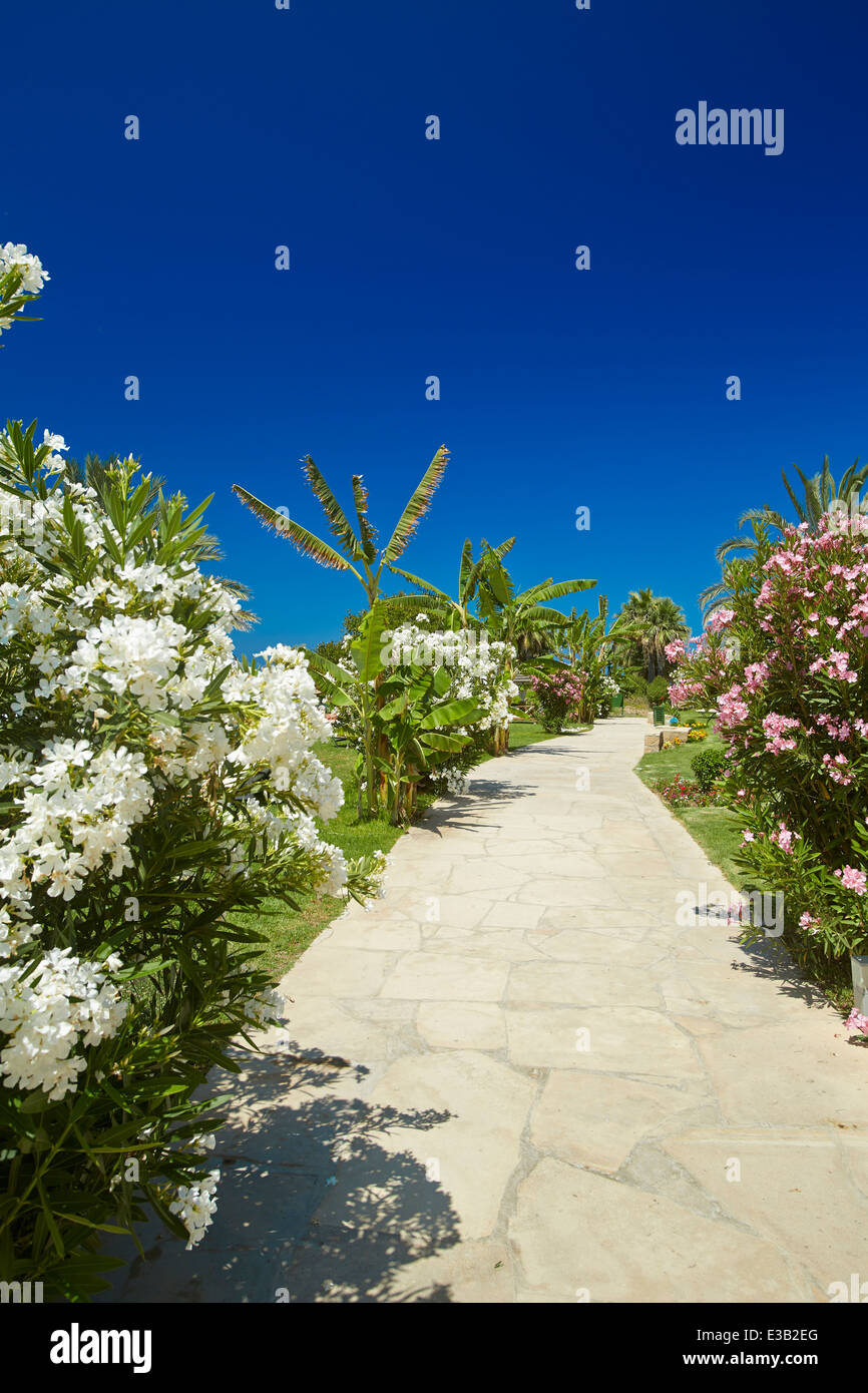 Scenic walk to Pathos Cyprus Stock Photo - Alamy