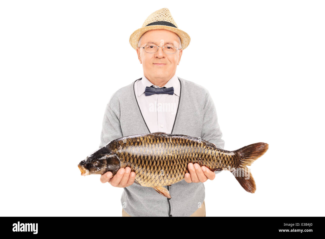 Gentleman fish hi-res stock photography and images - Alamy