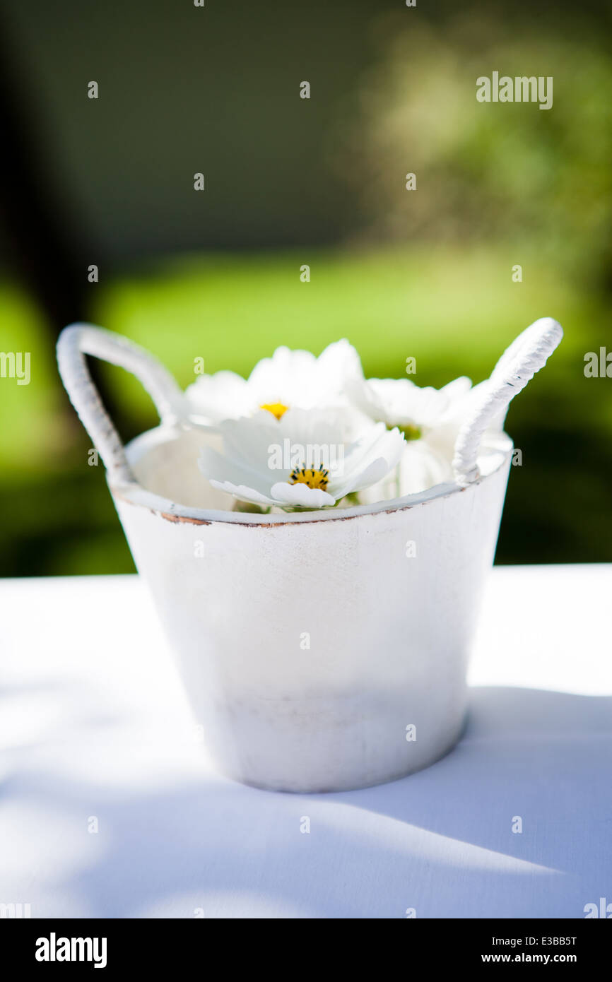 Closeup of decorative white daisy flowers in bucket on table outdoors ...