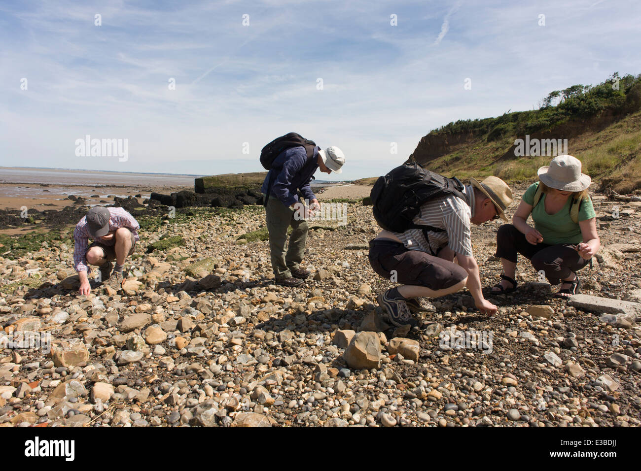 Fossil Hunters High Resolution Stock Photography and Images - Alamy