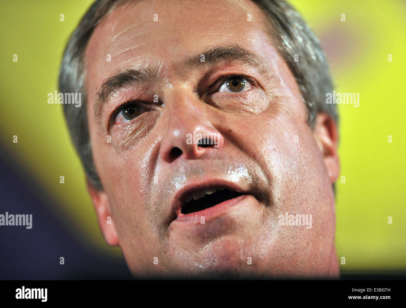 UKIP conference held at the Methodist Central Hall - Day 2 Featuring ...