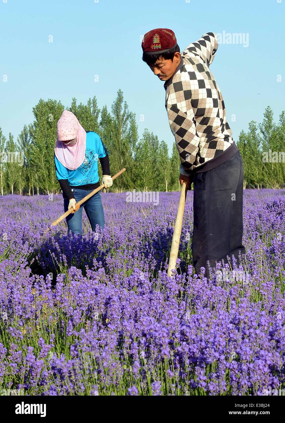Yining, China's Xinjiang Uygur Autonomous Region. 22nd June, 2014 ...