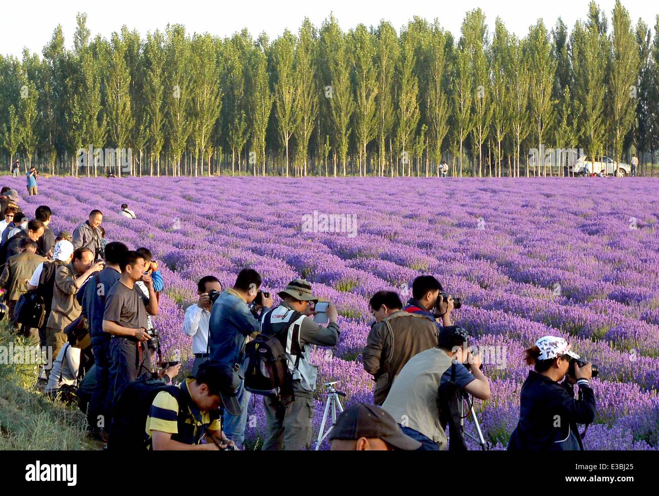Yining xinjiang hi-res stock photography and images - Alamy