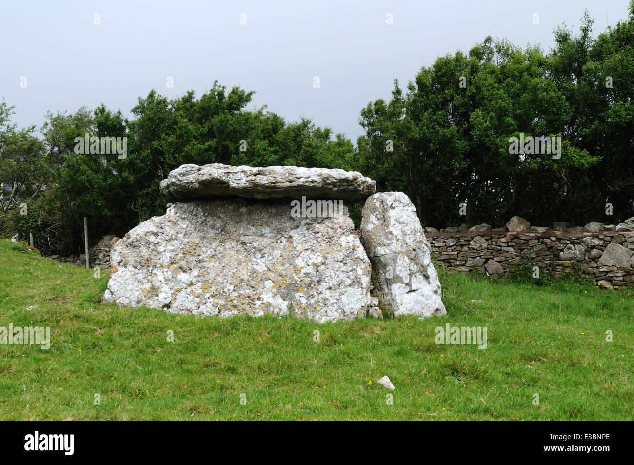 Great Orme Cromlech Llety'r Filiast Neolithic Burial Chamber Llandudno ...