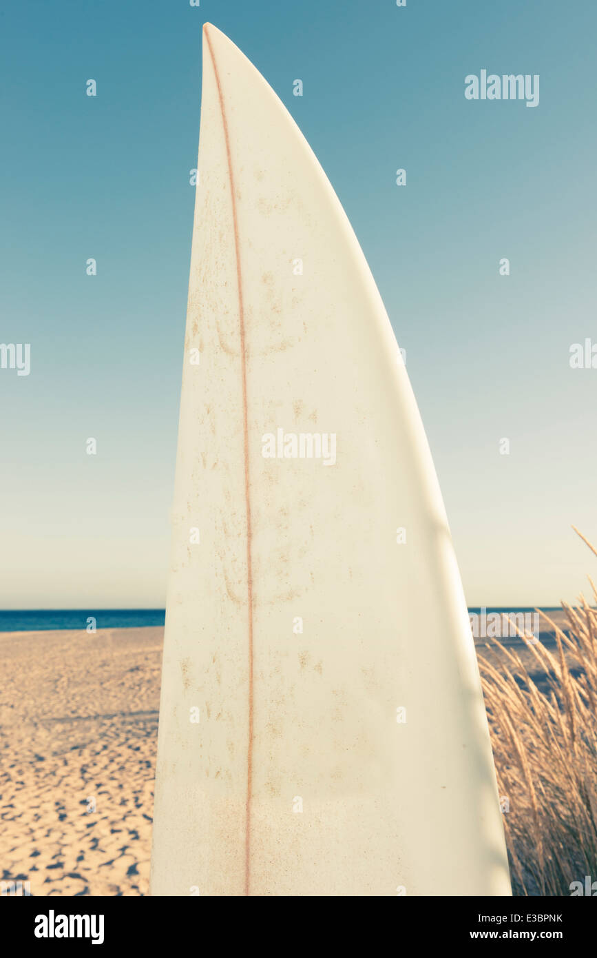 Surf board and Beach Stock Photo - Alamy