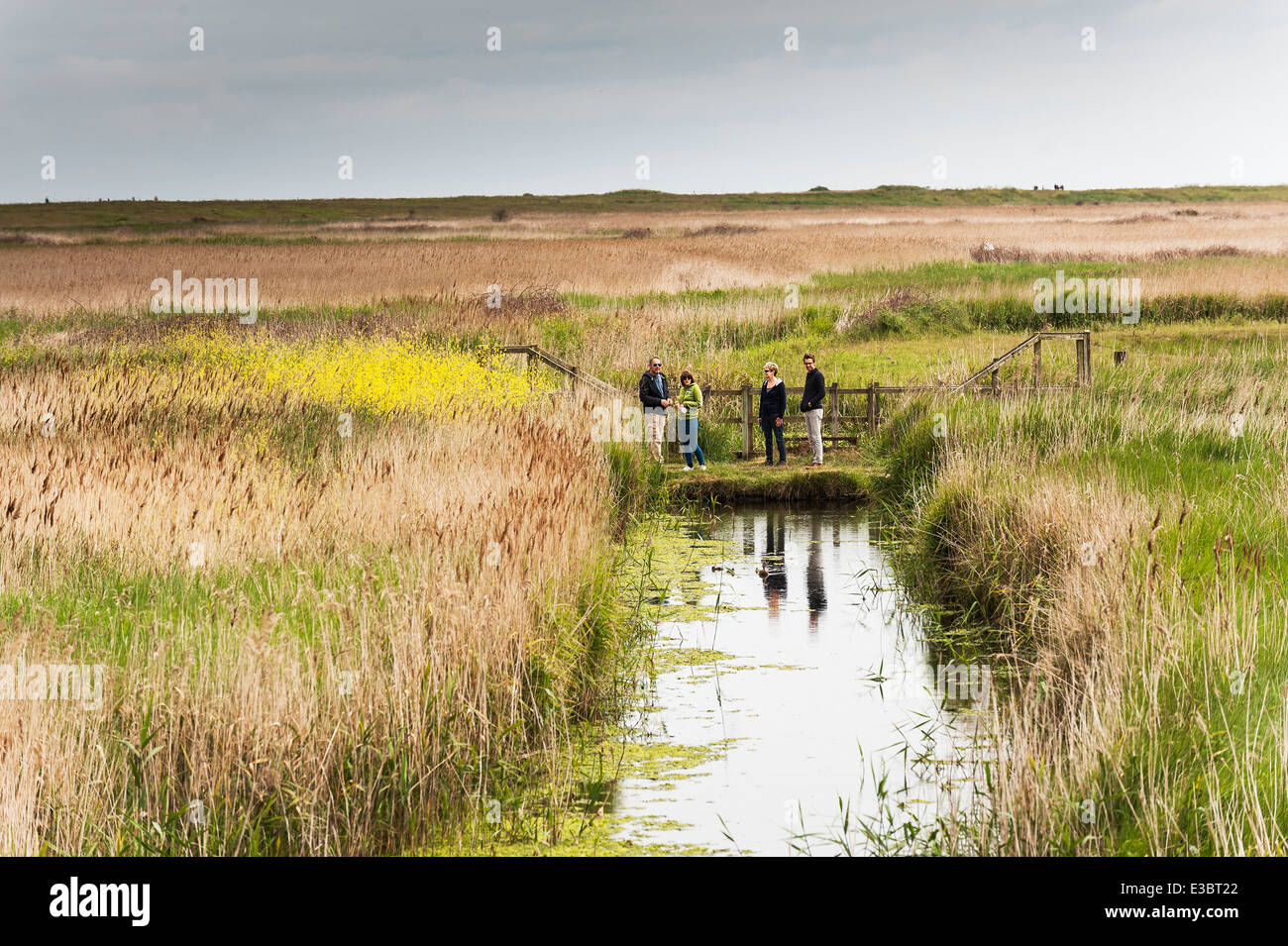 Marshland drainage hi-res stock photography and images - Alamy