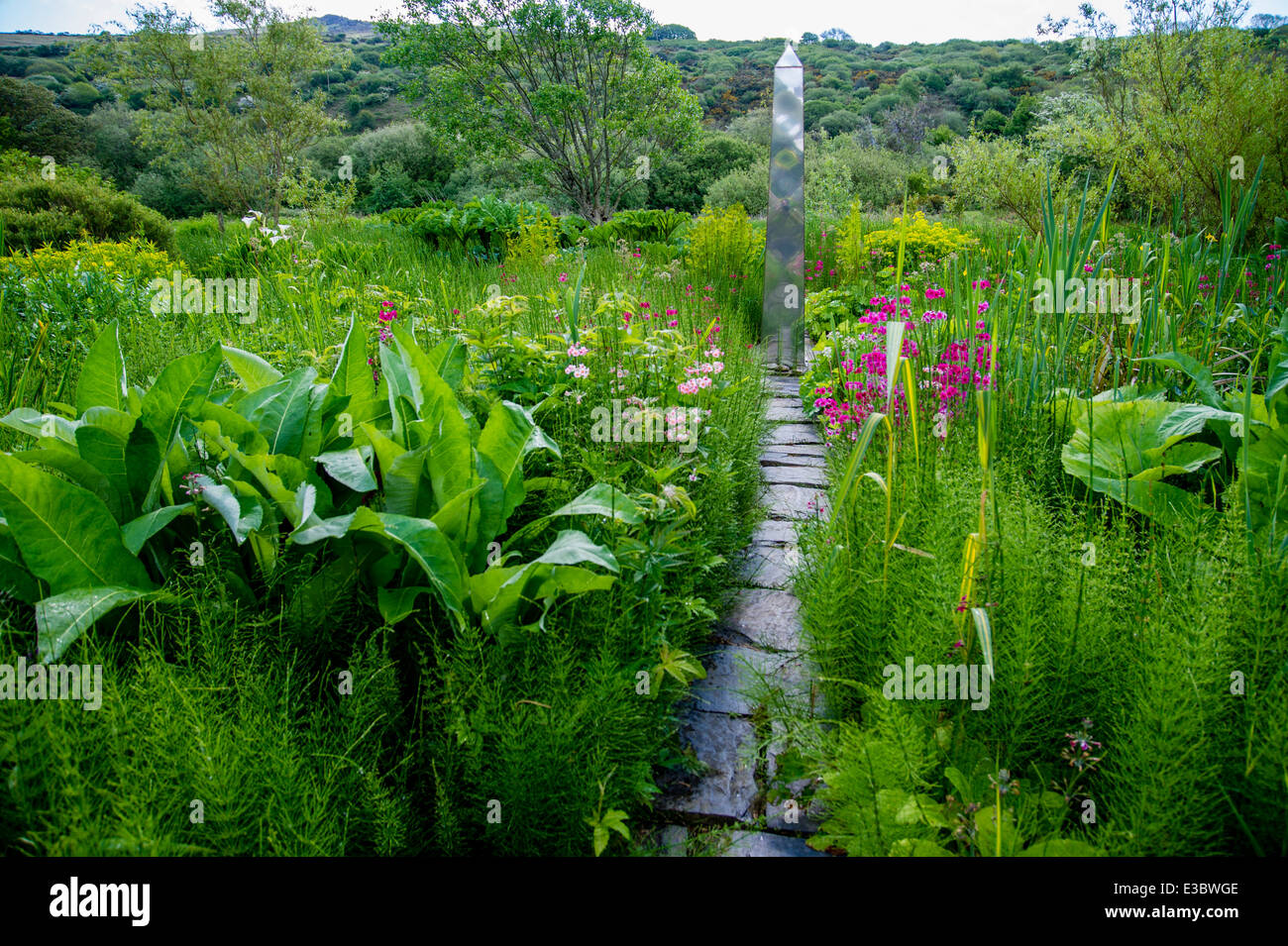 Bog garden hi-res stock photography and images - Alamy