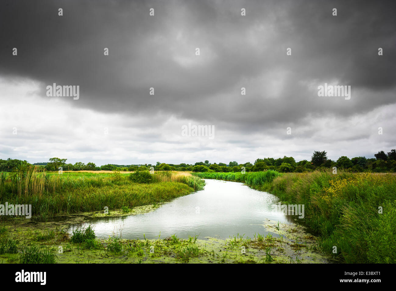 Heavy rainclouds gather over Cley Marshes Stock Photo - Alamy