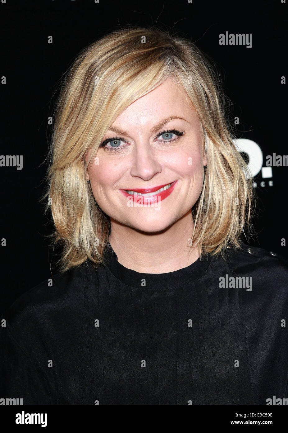 A.C.O.D. - Los Angeles Premiere Held at the Landmark Theater Featuring ...