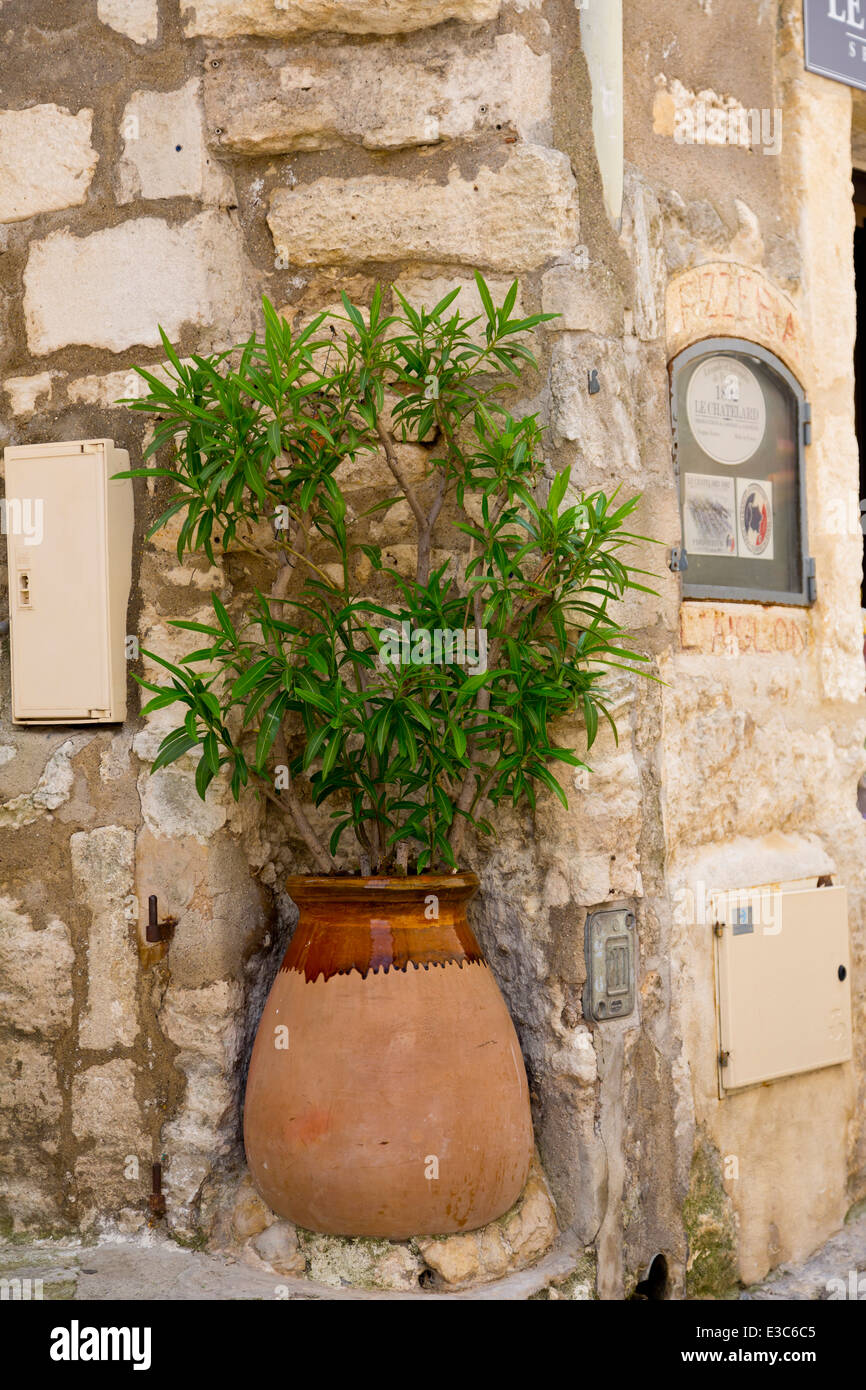 Flower Pot in Les Beaux, Provence, France Stock Photo - Alamy