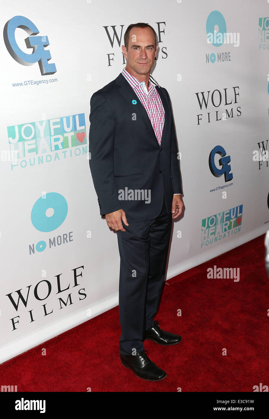 Celebrities Attend Joyrocks An Evening To Benefit Mariska Hargitays