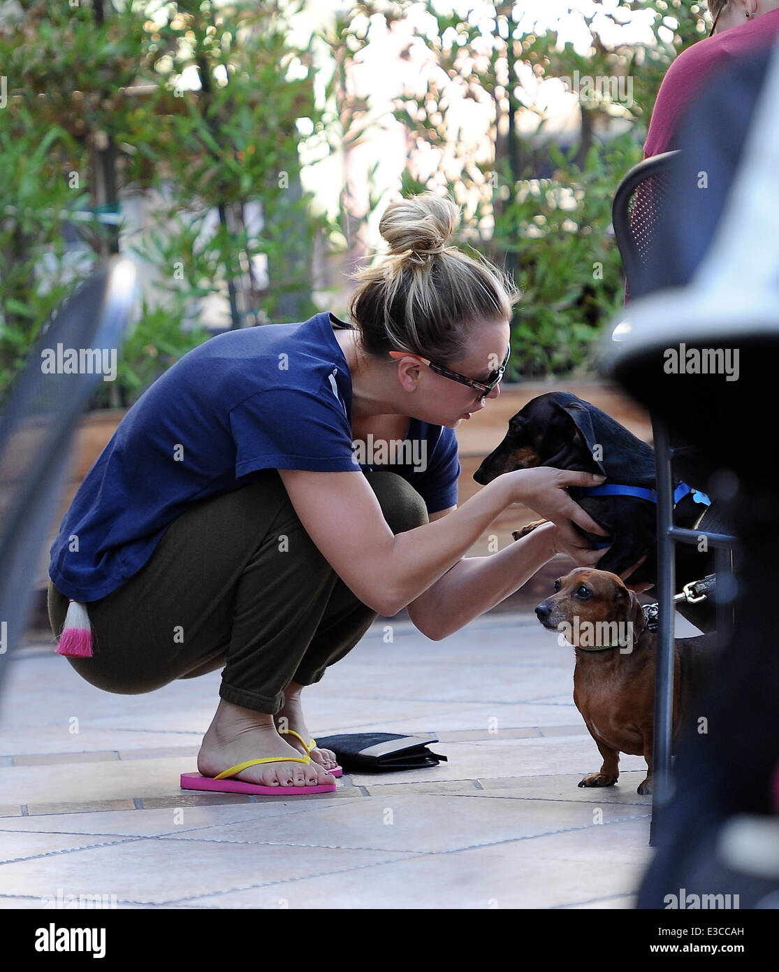 Dog lover "Big Bang Theory" star Kaley Cuoco makes a coffee run for 2 ...