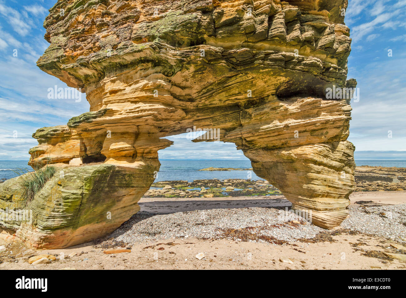 GIANT SANDSTONE SEA STACK SUPPORTED ON TWO LEGS ALONG THE MORAY COAST ...