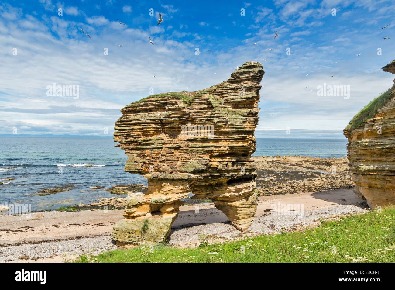 Coastal erosion sea stack hi-res stock photography and images - Alamy