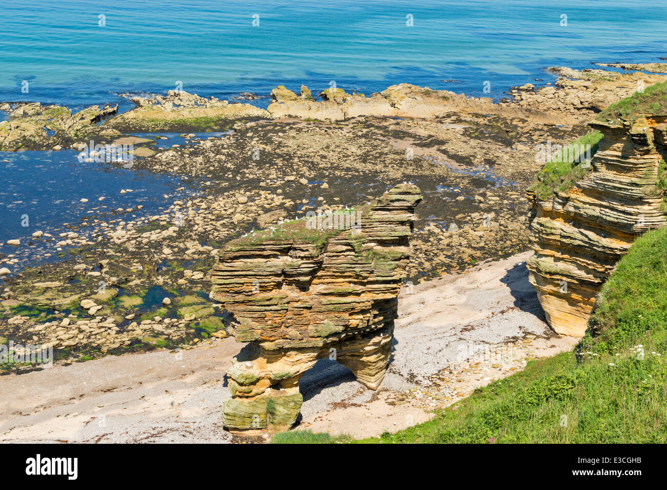 GIANT SEA STACK WITH NESTING BIRDS AND AN ARCHWAY MORAY COAST TRAIL ...