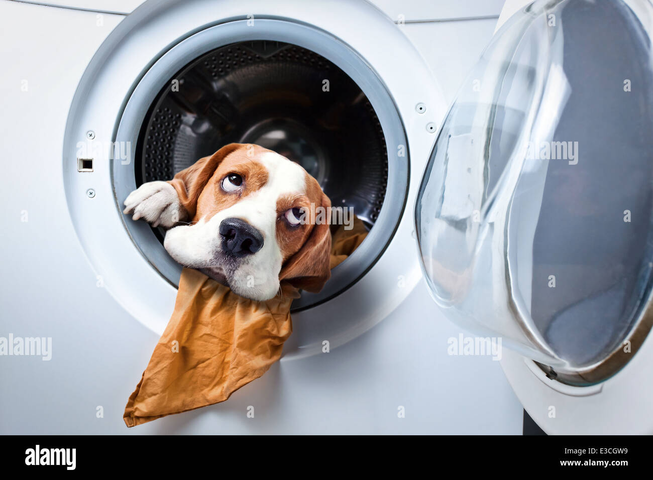 Funny washing machine hi-res stock photography and images - Alamy
