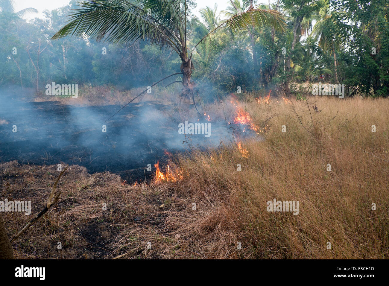 Clearing the bush with fire Stock Photo - Alamy
