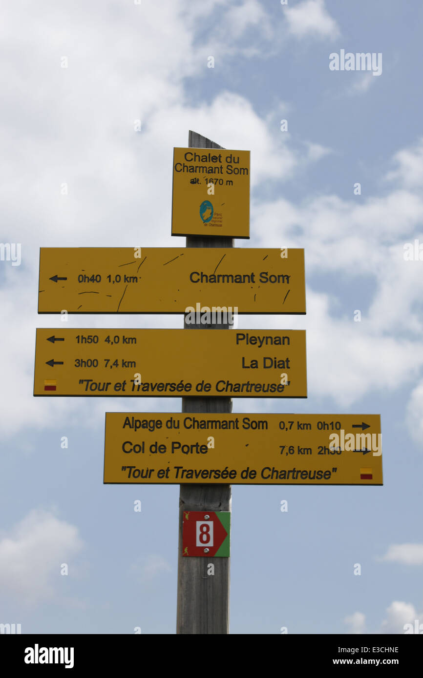 Chartreuse Charmant Som Stock Photo - Alamy