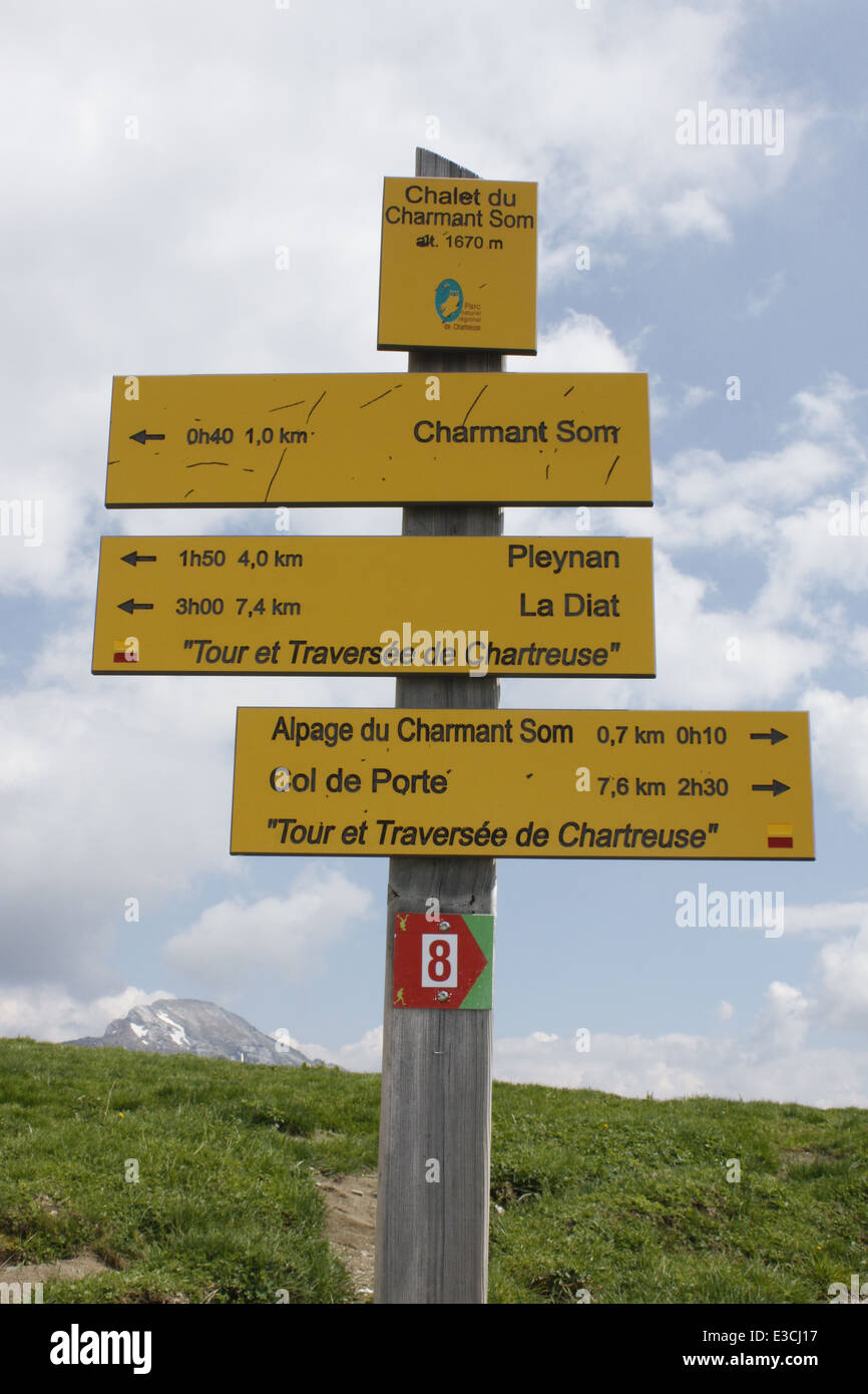 Chartreuse Charmant Som Stock Photo - Alamy