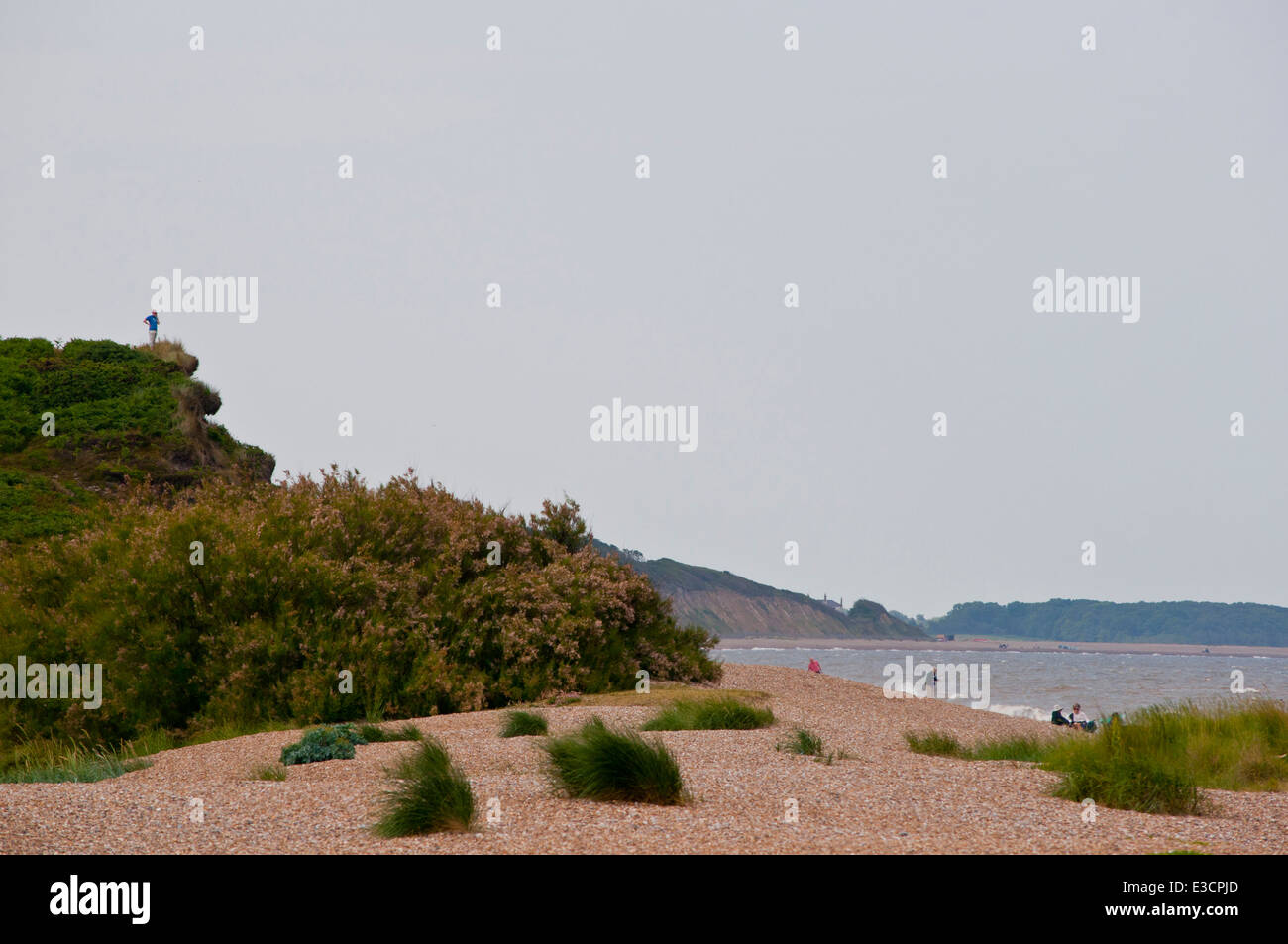 shingle beach and cliffs Dunwich Heath Suffolk Coast coastal path Stock ...