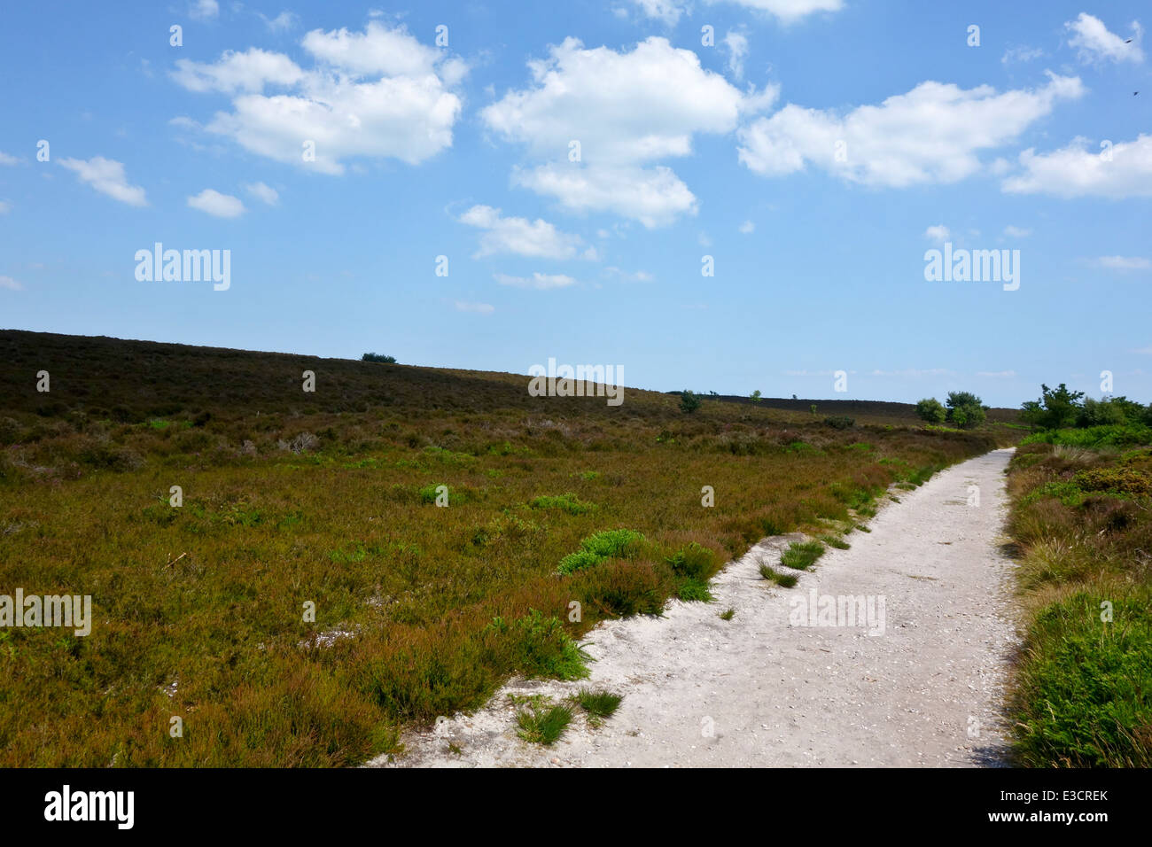Sandy path hi-res stock photography and images - Alamy