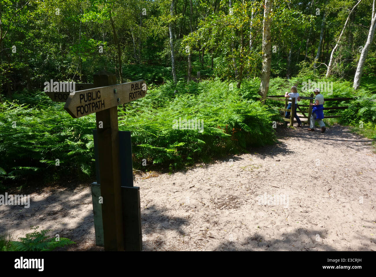 Public footpath sign woodland path Westleton walks Dunwich Heath Stock ...
