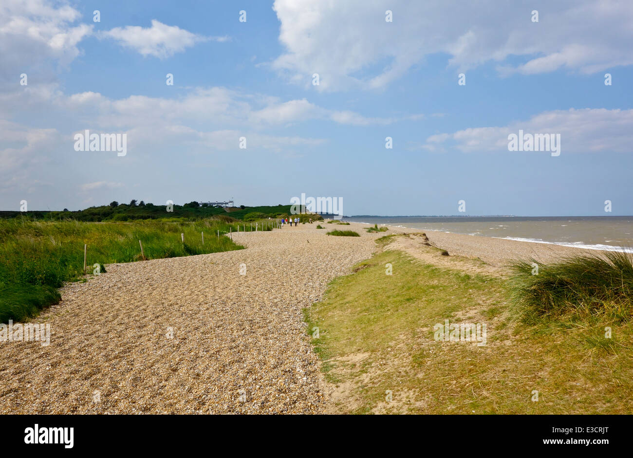 Shingle beach Minsmere RSPB reserve Stock Photo - Alamy