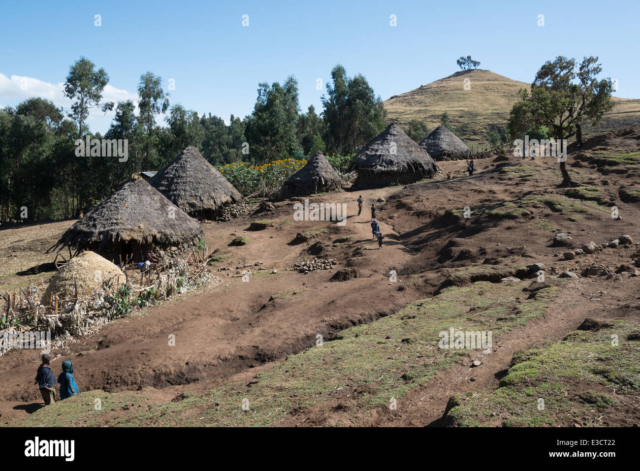 Buyit Ras area. Trecking in the Simien Mountains National Park ...