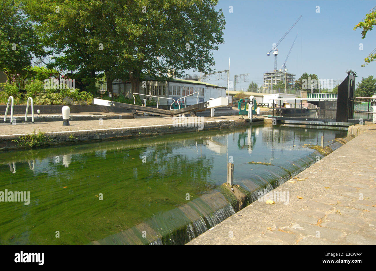Water weed in a closed lock on the Regent's Canal at Saint Pancras ...