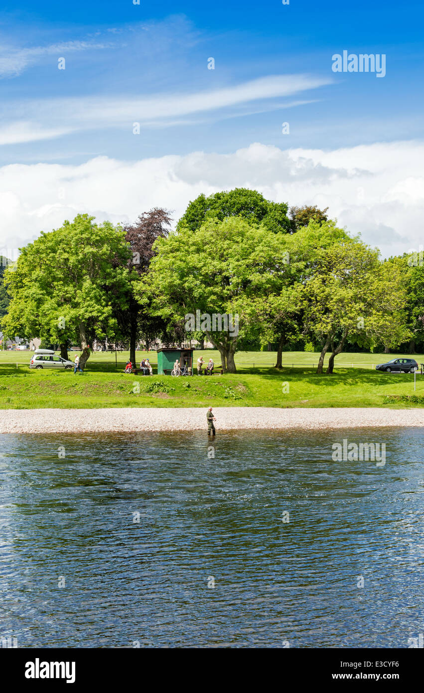 FISHERMEN FISHING FOR SALMON ON THE RIVER NESS IN EARLY SUMMER WHERE IT ...