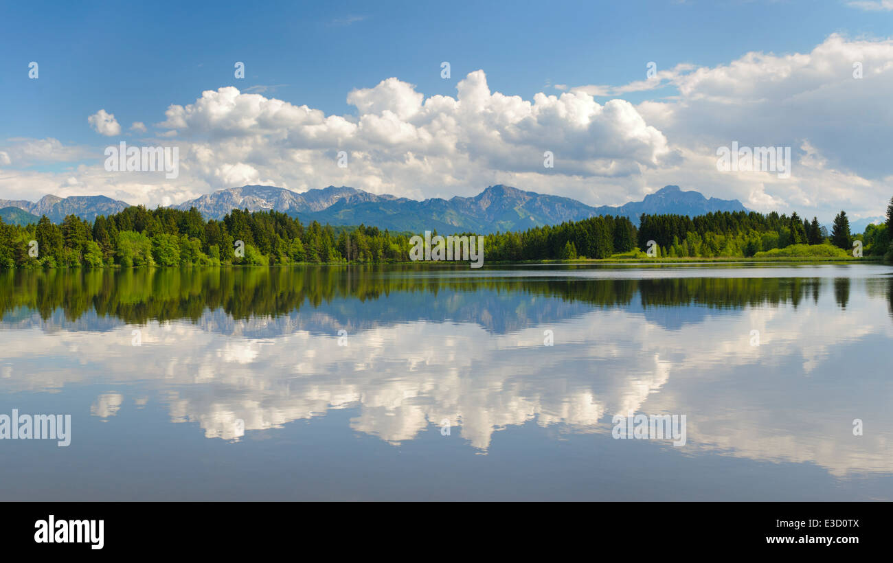 panorama landscape with lake Hopfensee and alps mountains in Bavaria ...