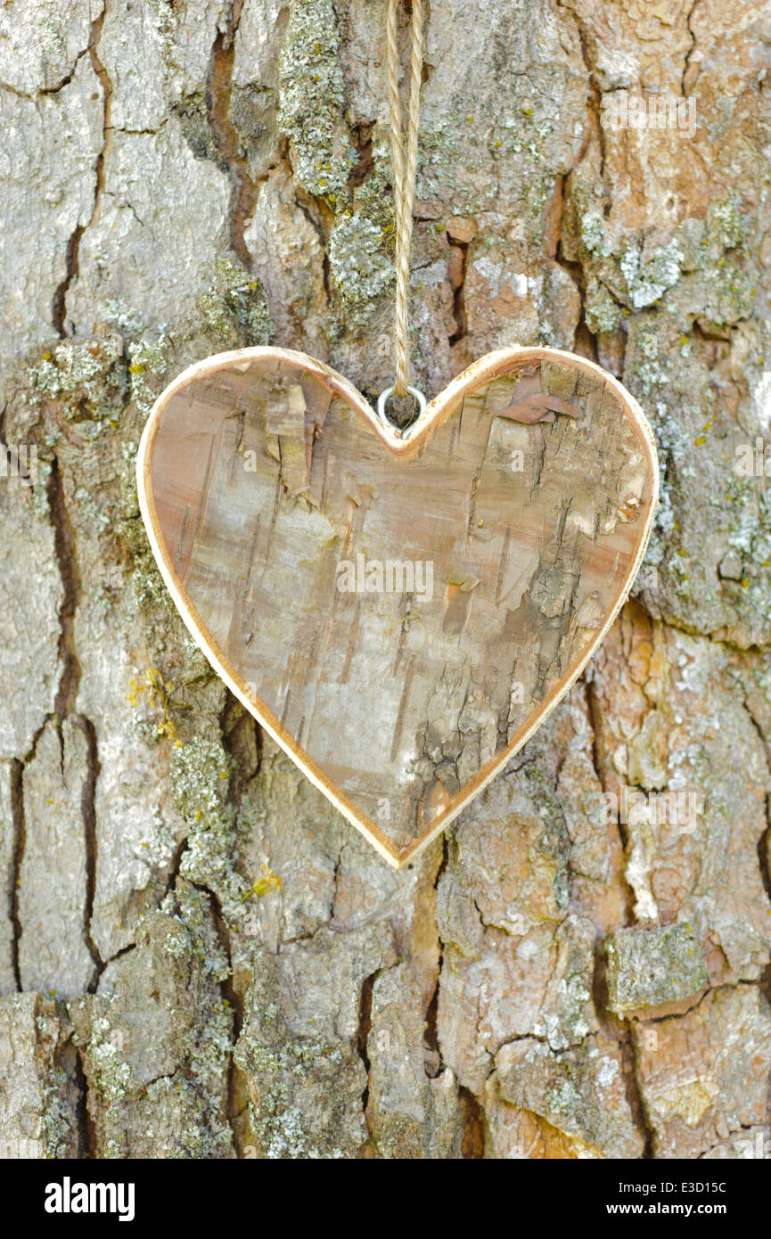 Tree lover hi-res stock photography and images - Alamy