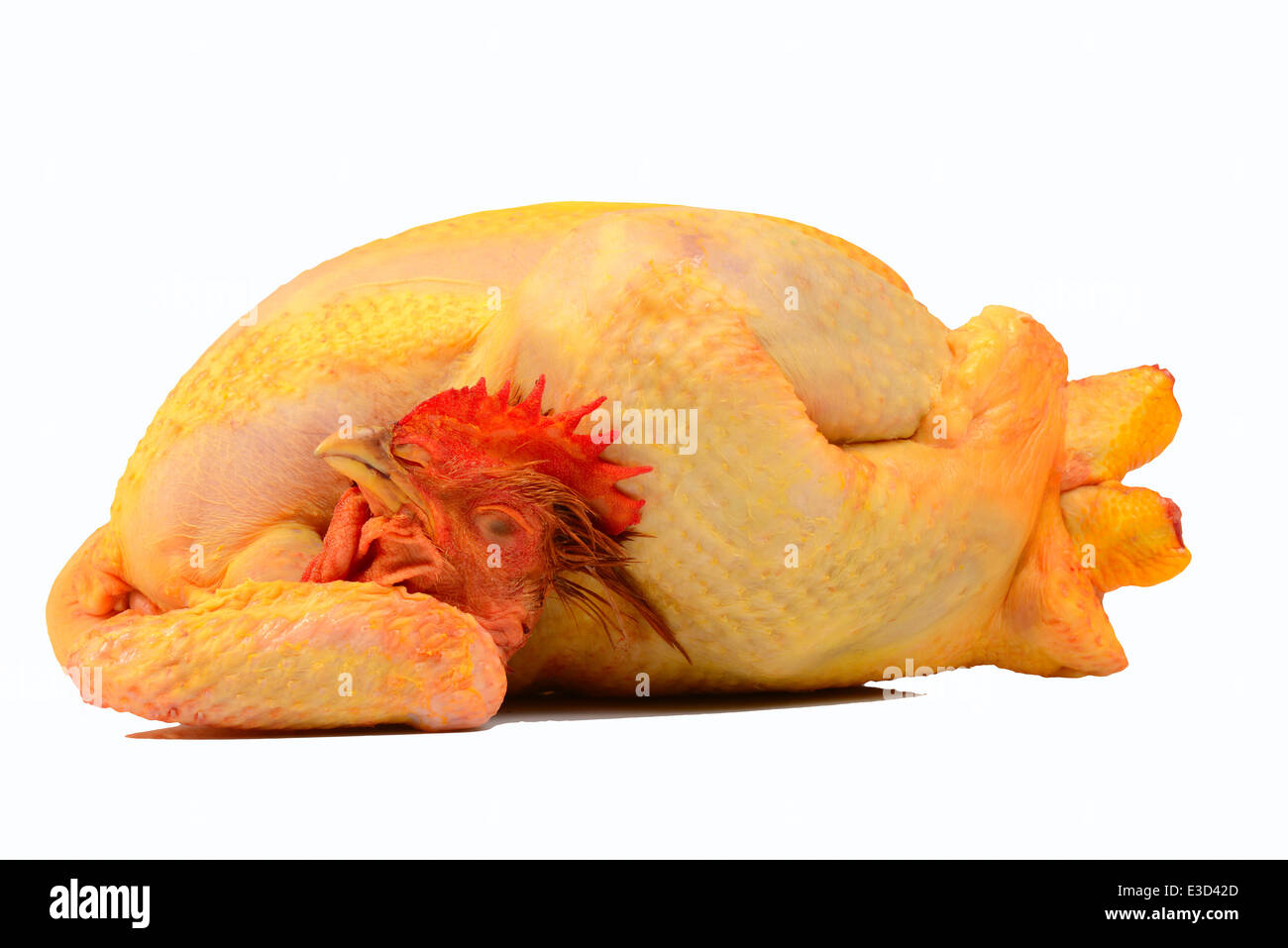 Poultry: Raw Chicken Stock Photo - Alamy