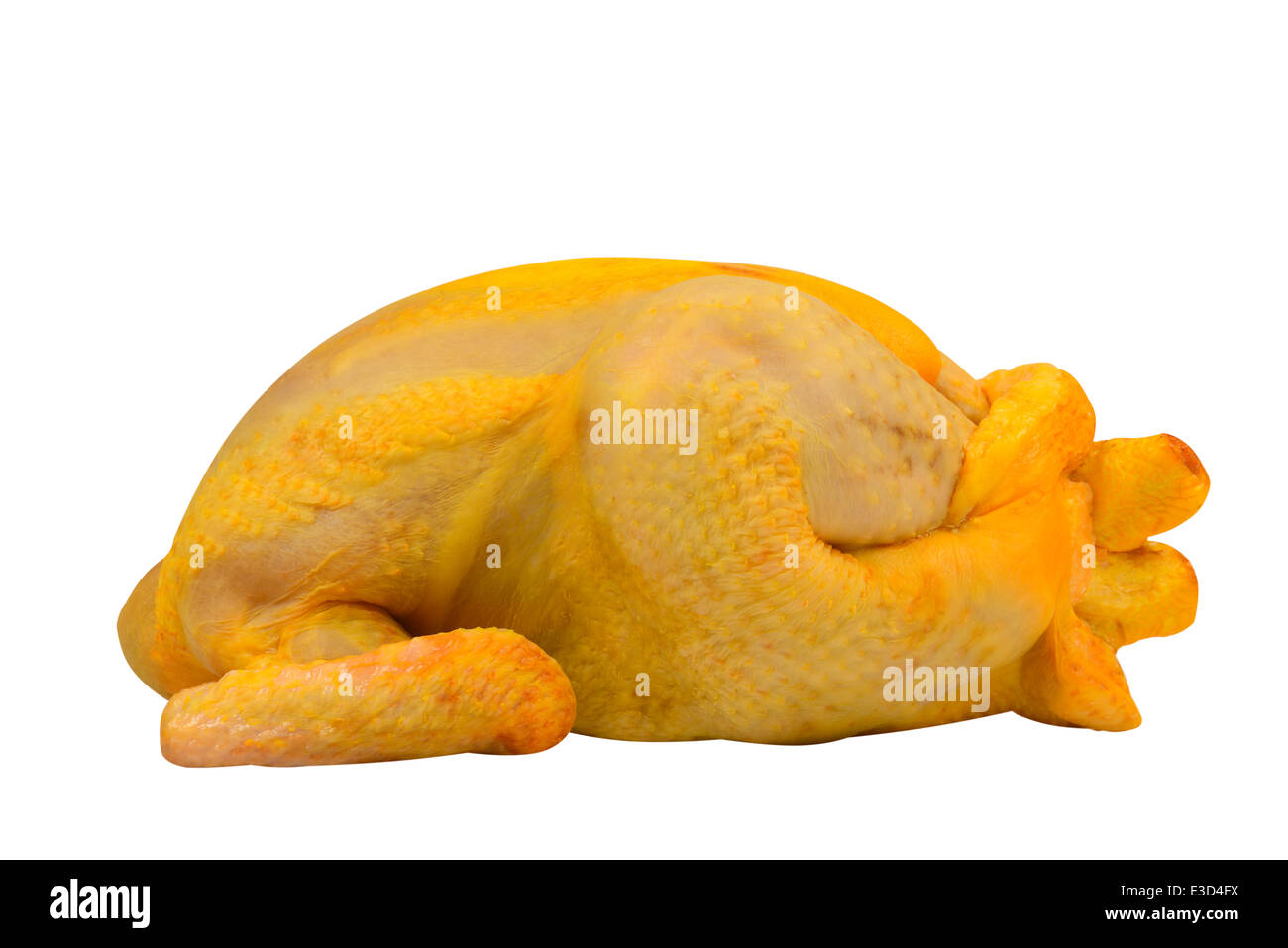 Poultry: Raw Chicken Stock Photo - Alamy