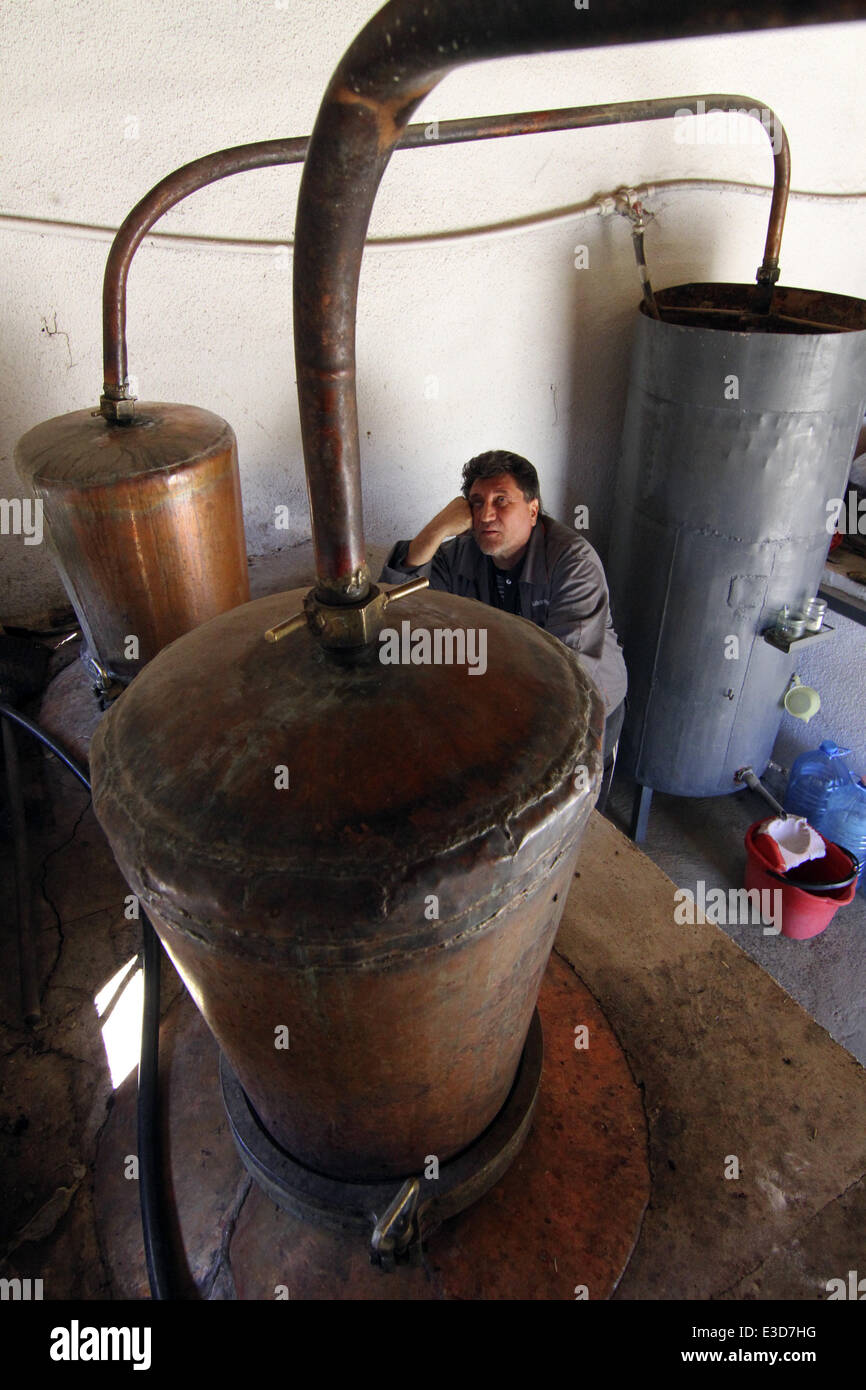 A Bulgarian man checks the alcoholic quality at a small home raki ...