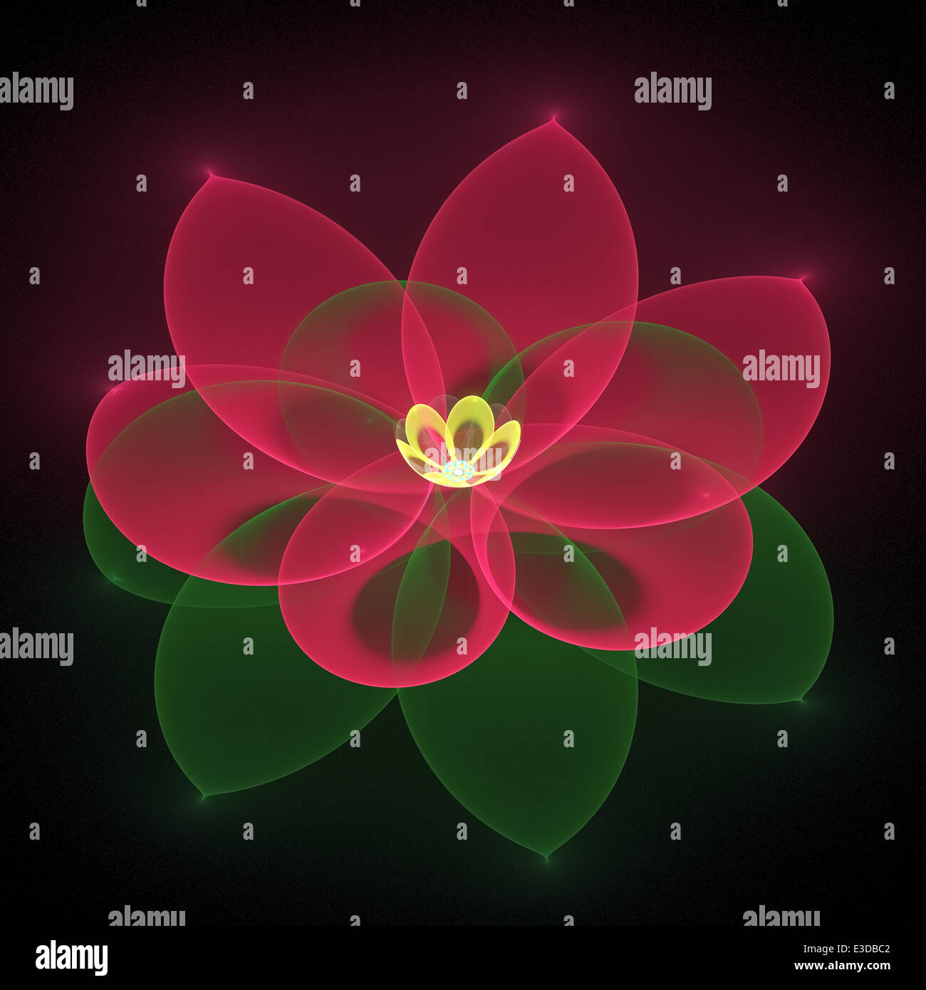 Fractal - red flower on black background Stock Photo - Alamy