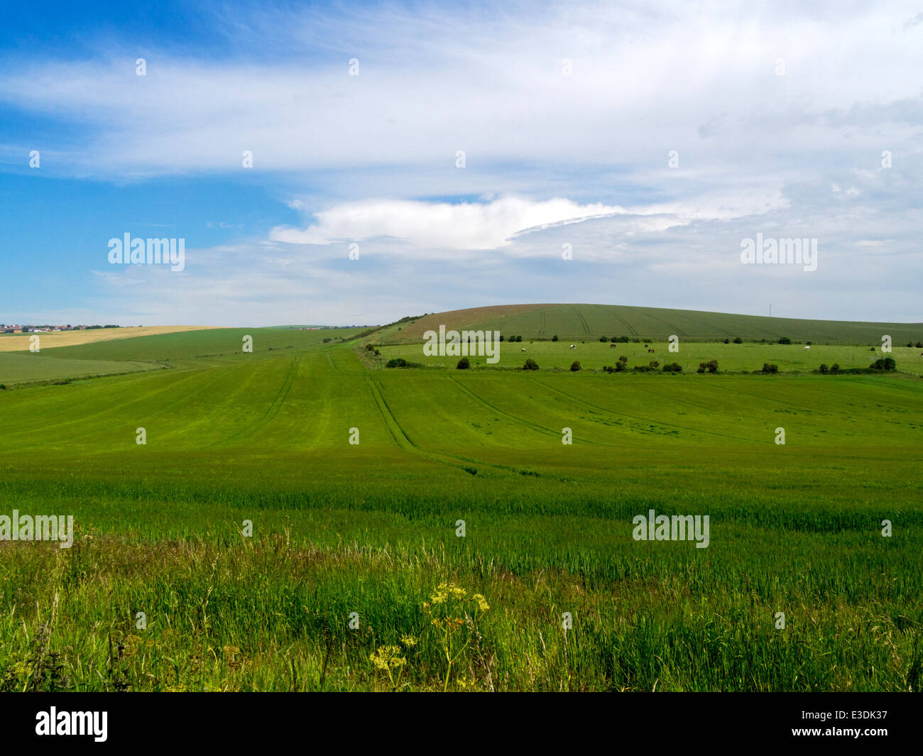 The South Downs near Woodingdean, Brighton, East Sussex, UK - taken ...