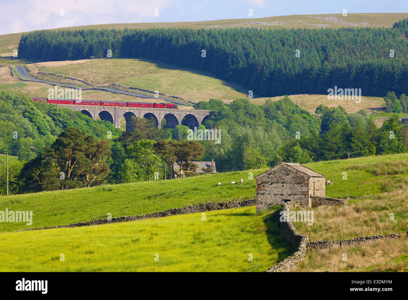 Yorkshire Dales National Park. Stone barn with steam train passing over ...