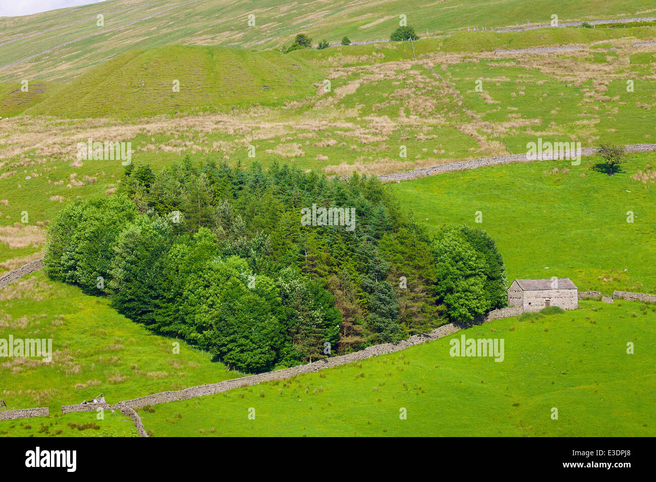 Plantation great house hi-res stock photography and images - Alamy