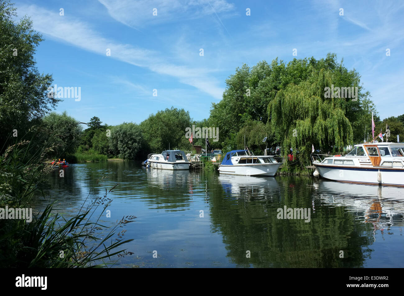 river stour at grove ferry kent uk 2014 Stock Photo - Alamy