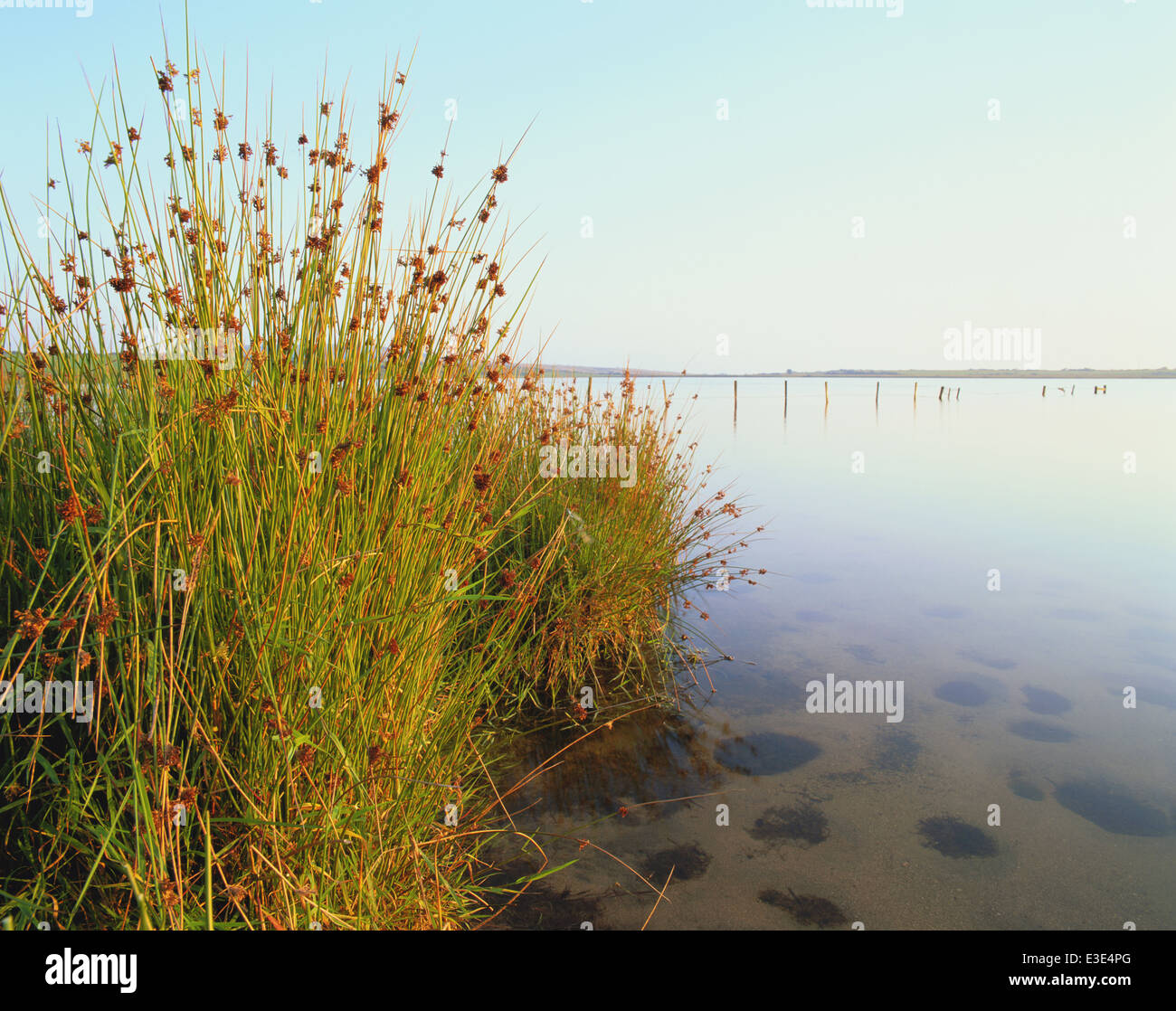 GB: Cornwall: Bodmin Moor: Dozmary Pool (Arthurian Legend Stock Photo ...