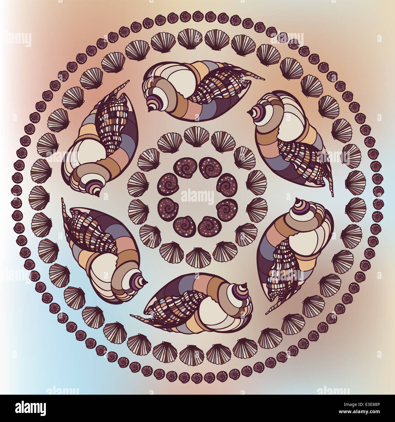 Mandala made of Seashells Stock Photo - Alamy
