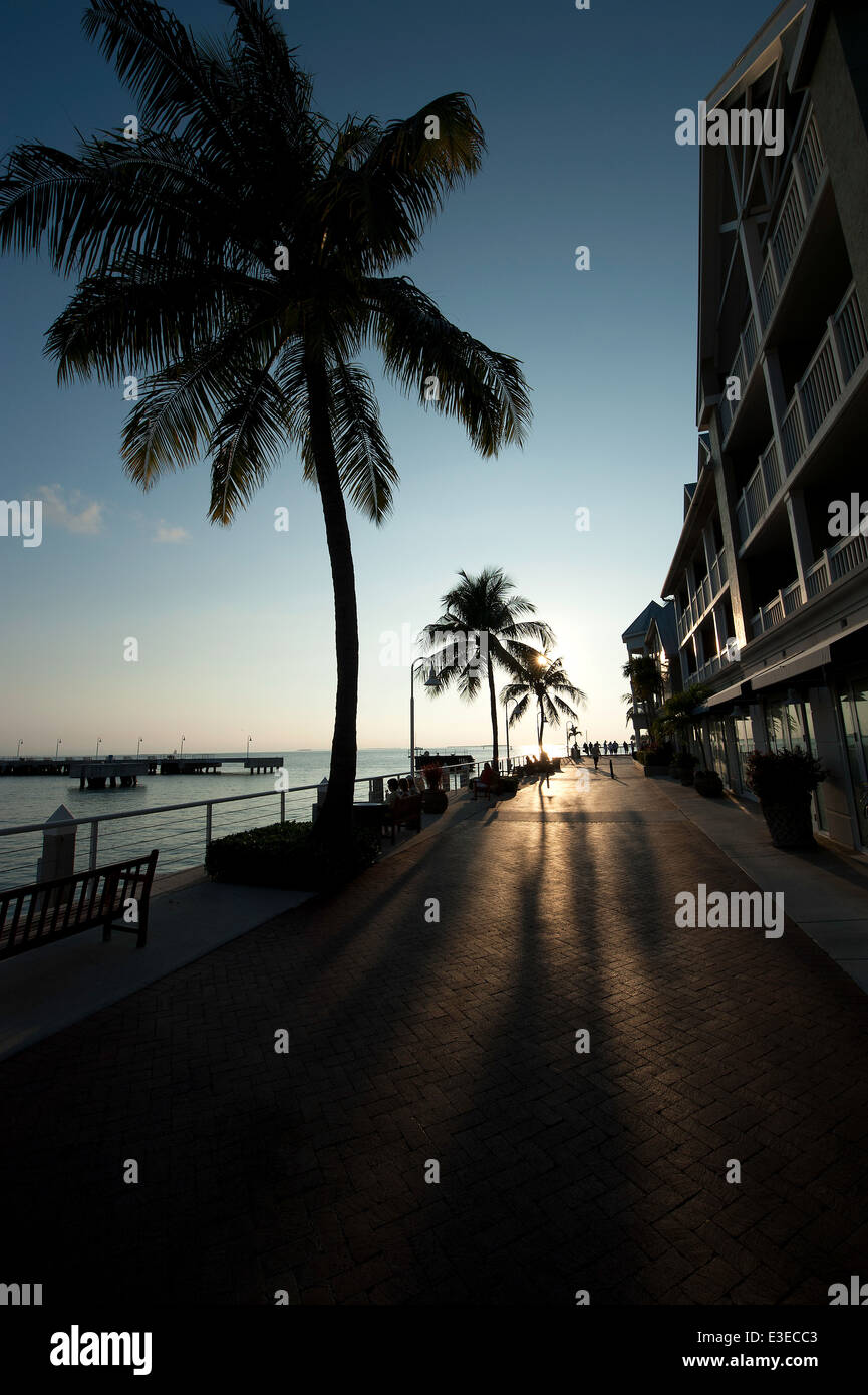 Sunset , Key West Florida USA Stock Photo - Alamy