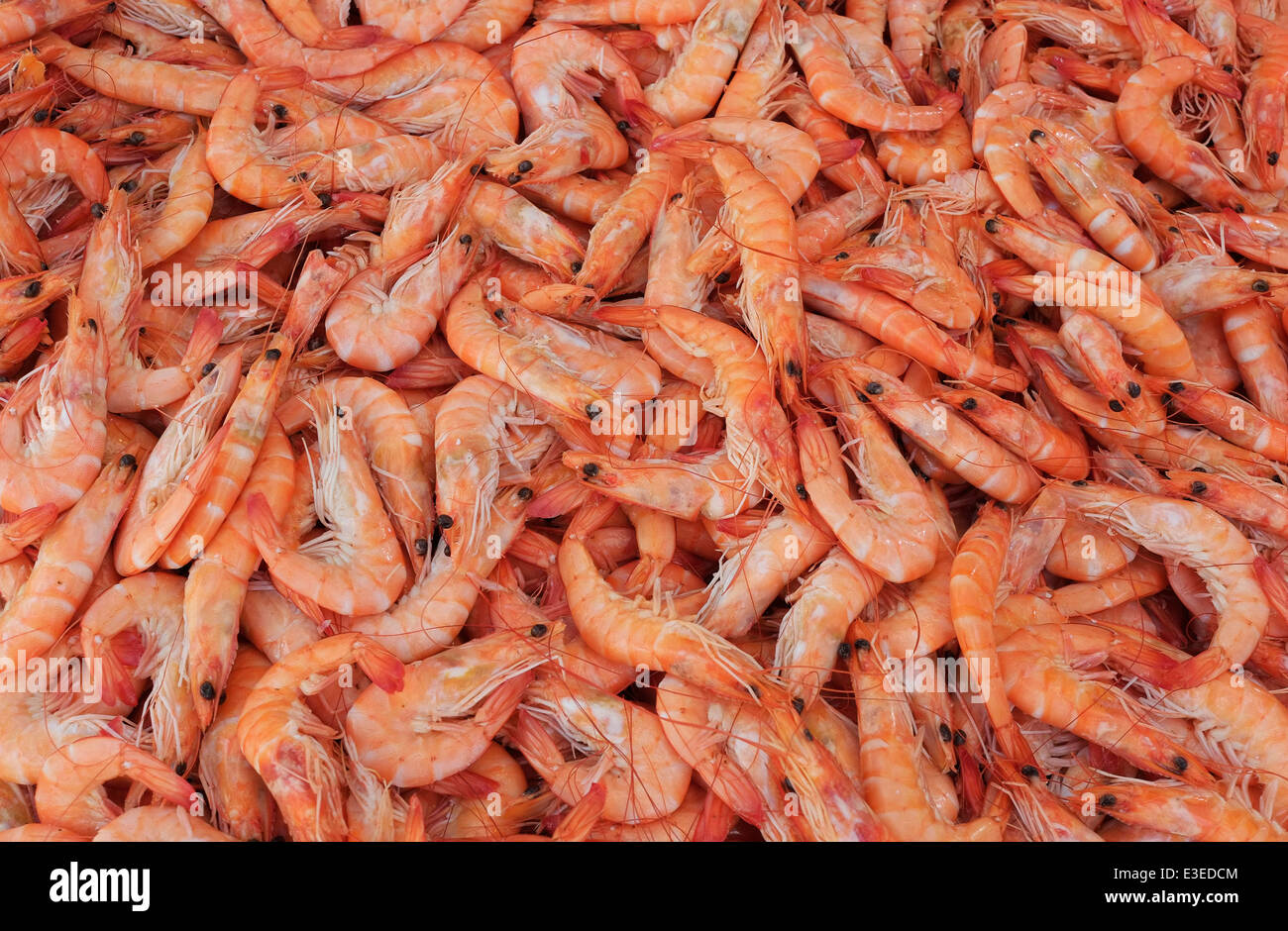 pink cooked prawns Stock Photo - Alamy