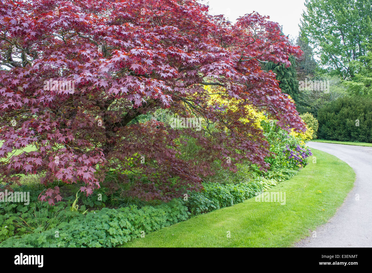 Benthall Hall is a 16th-century English country house located in ...