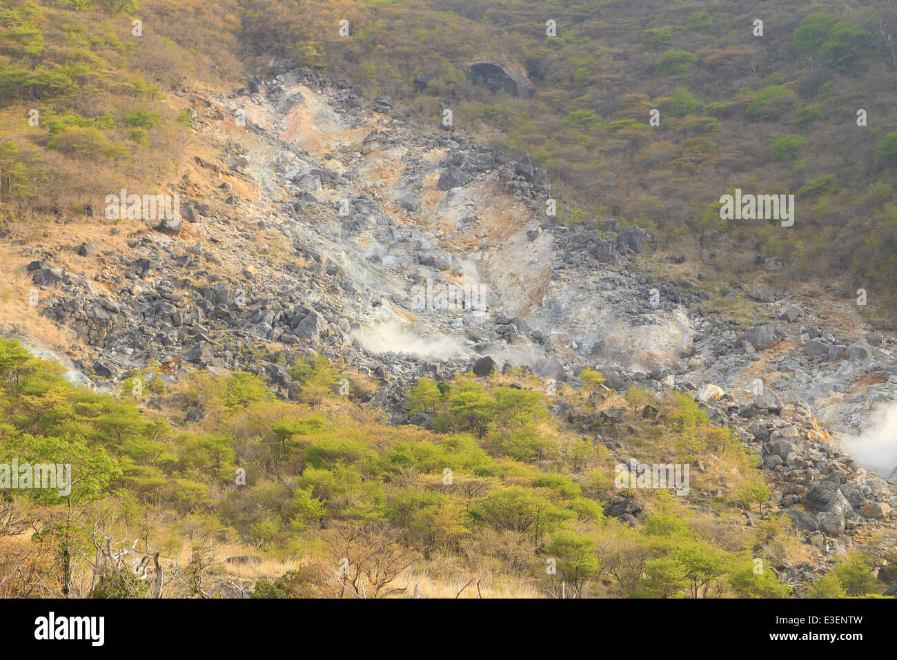 Owakudani, sulfur quarry in Hakone, Japan Stock Photo - Alamy