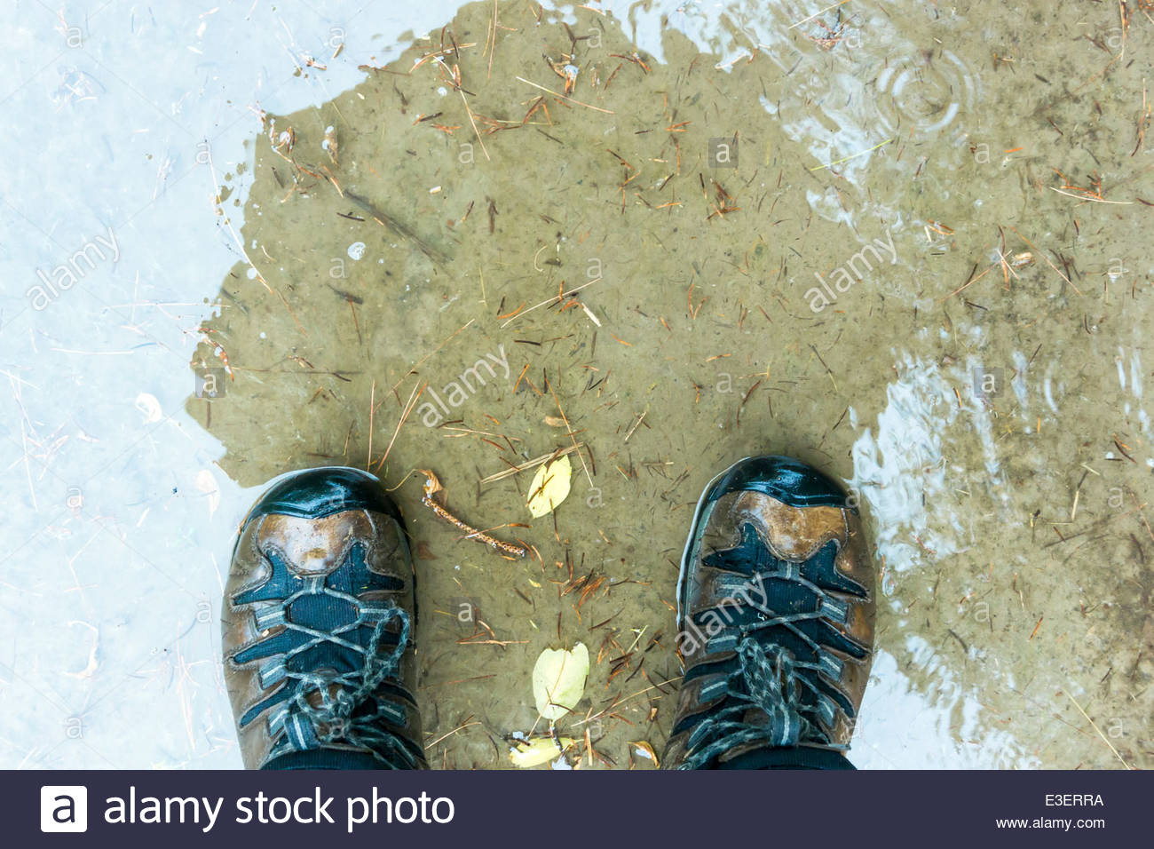 Shallow Puddle High Resolution Stock Photography and Images - Alamy